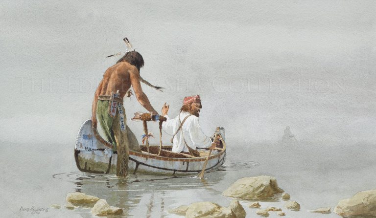 david halbach - Basha